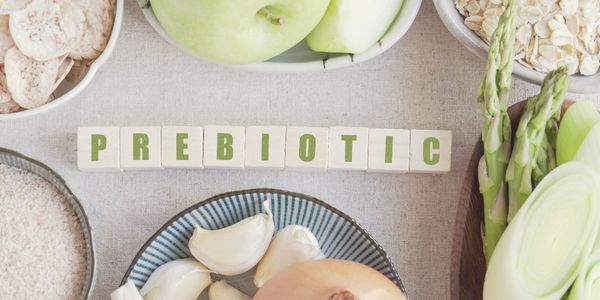 A Beginners Guide to Prebiotics | Purolabs Wellness Hub