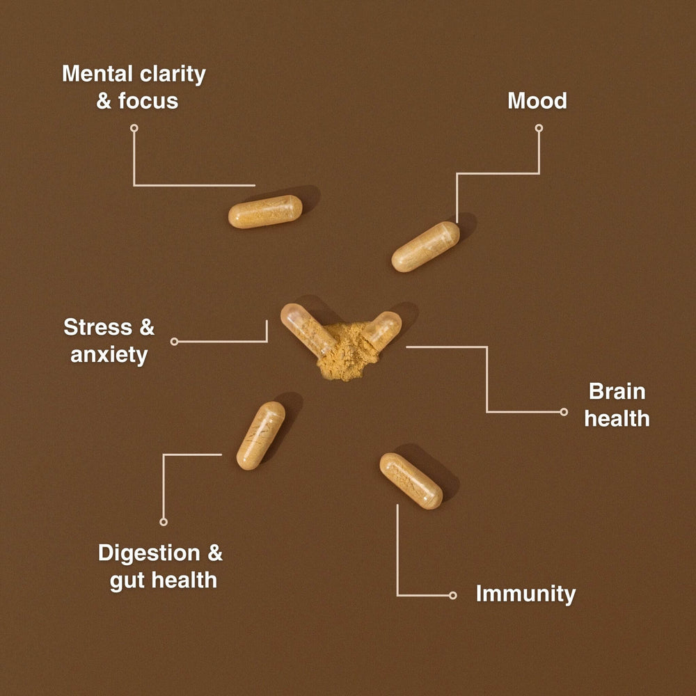 Lion's Mane Capsules | Purolabs